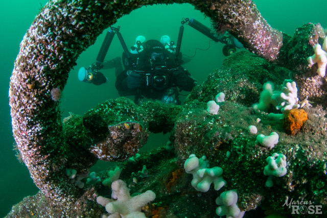 2021 – Blue Marine Collaboration – Project Baseline UK